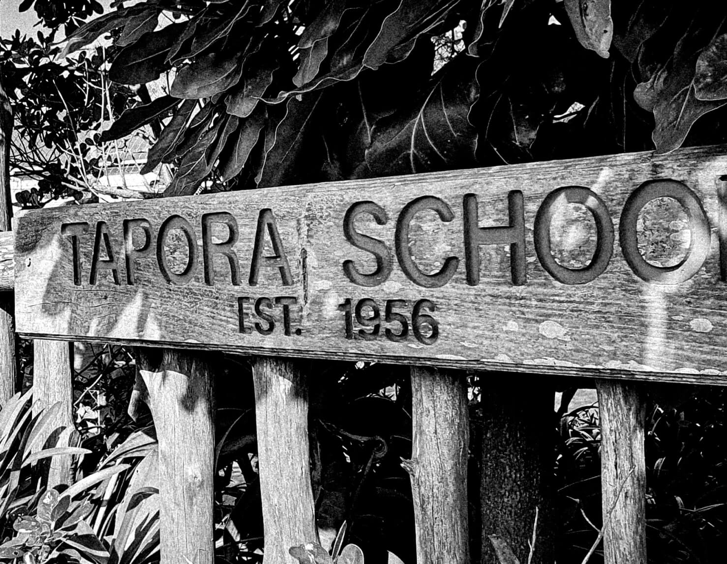 Welcome | Tapora School