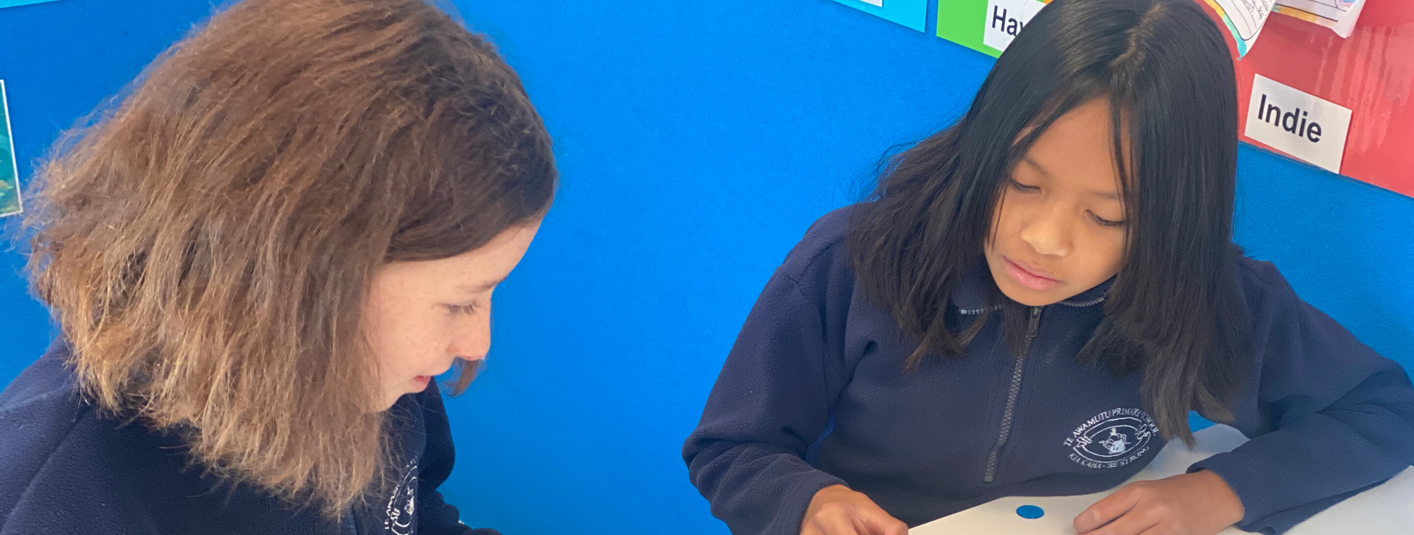 Educational Websites | Te Awamutu Primary School