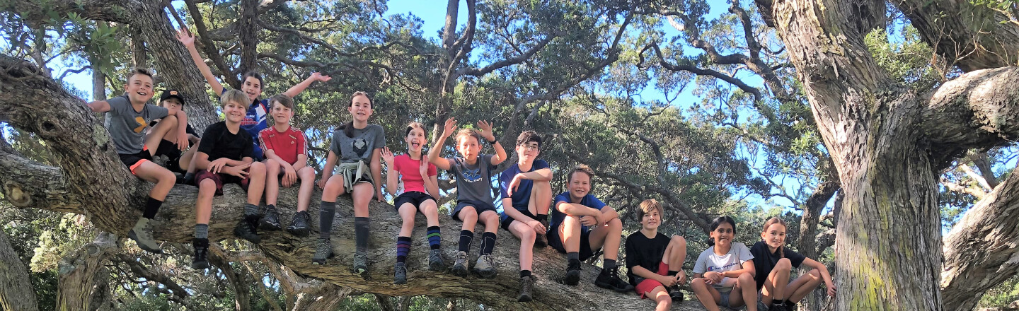 Welcome | Kōwhai Intermediate School