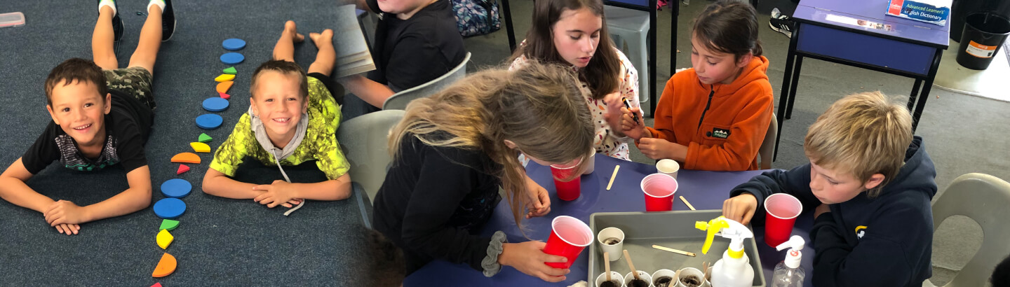 Welcome | Ōtorohanga South School