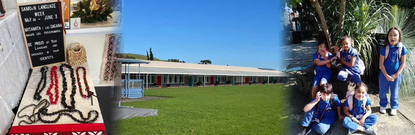 Welcome | Ruapōtaka School