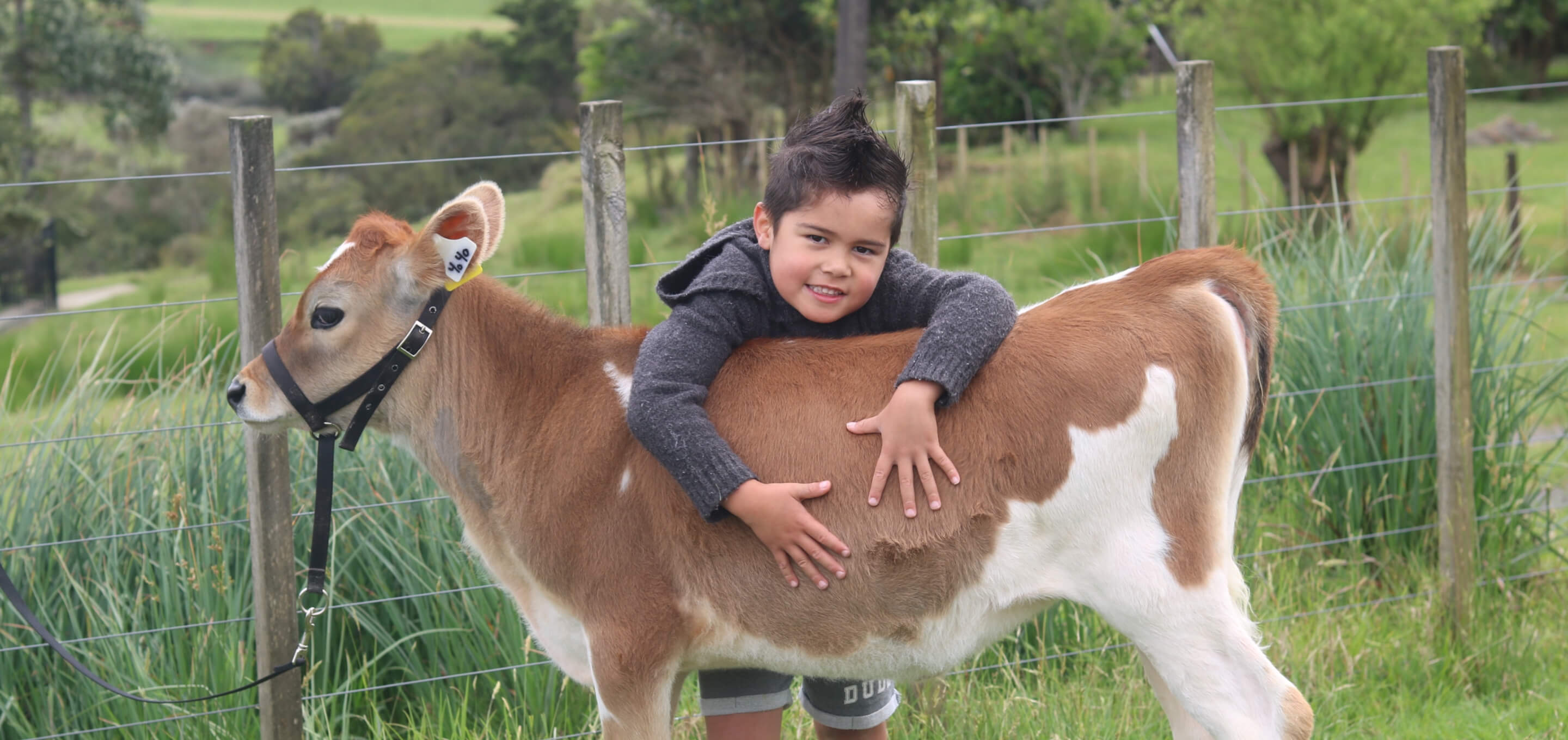 Meet Our Staff | Tangiteroria School