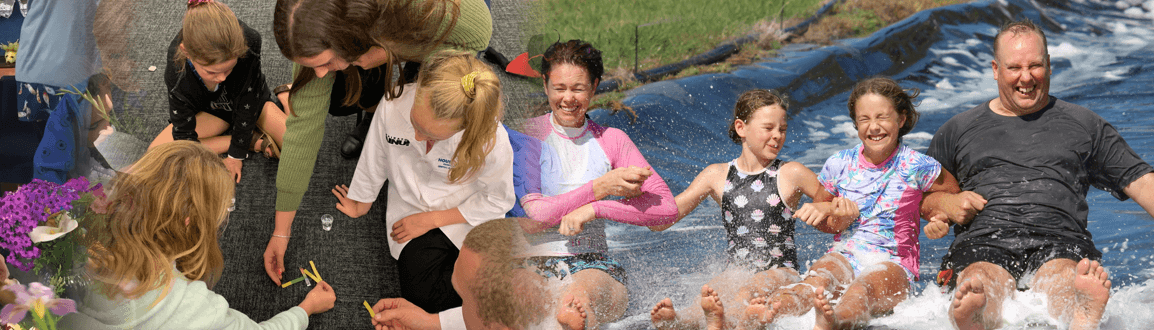 Welcome | Newstead School