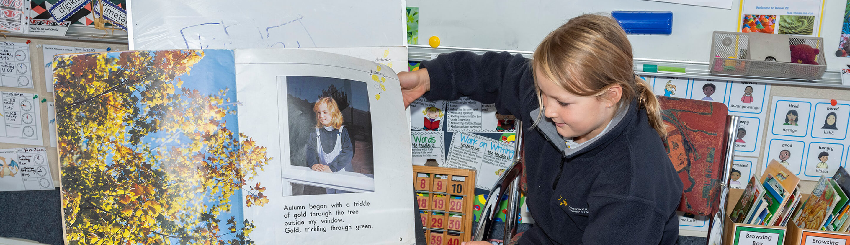 School Location | Sunnynook School