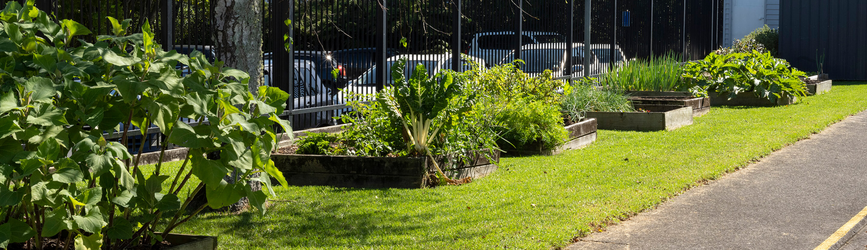 Home | Sunnynook School