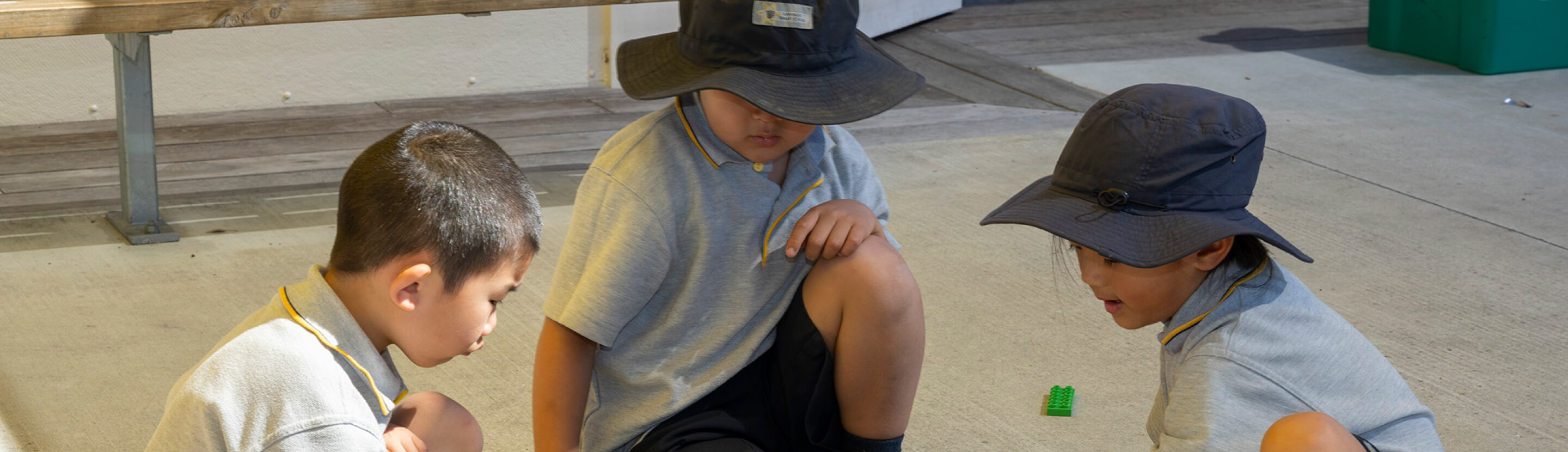 Home | Sunnynook School