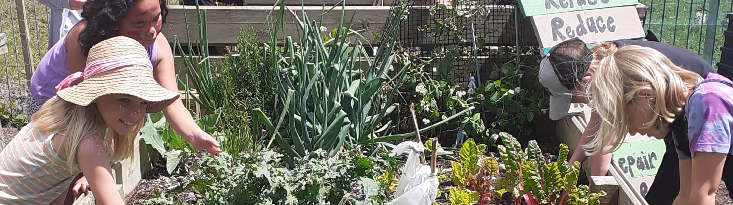 Welcome | Ruakākā School