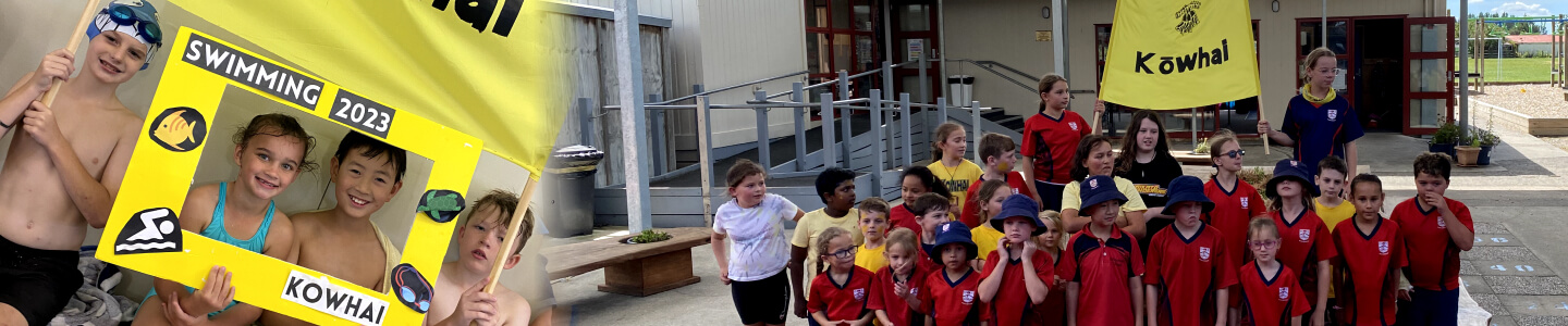 Welcome | Ohinewai School