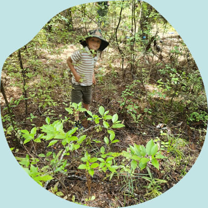 Welcome | Pakiri School