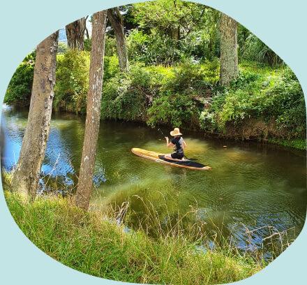 Welcome | Pakiri School