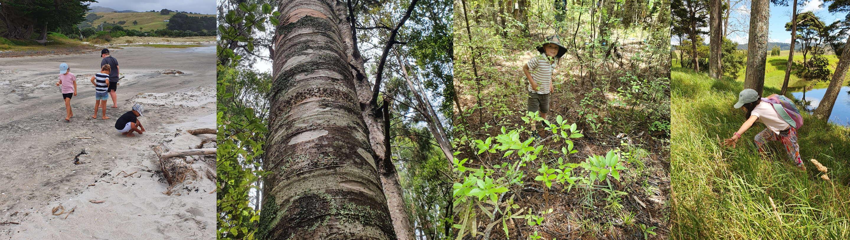 Welcome | Pakiri School