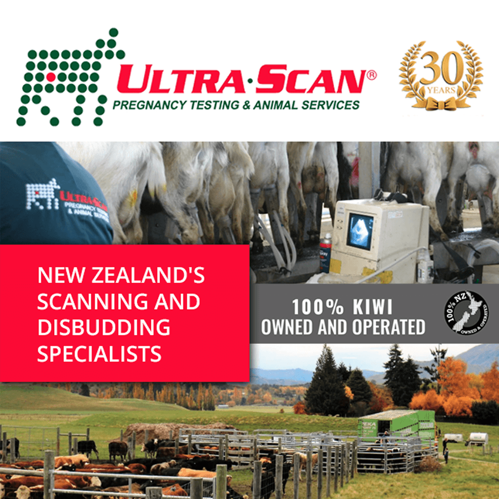 Welcome | Te Poi School