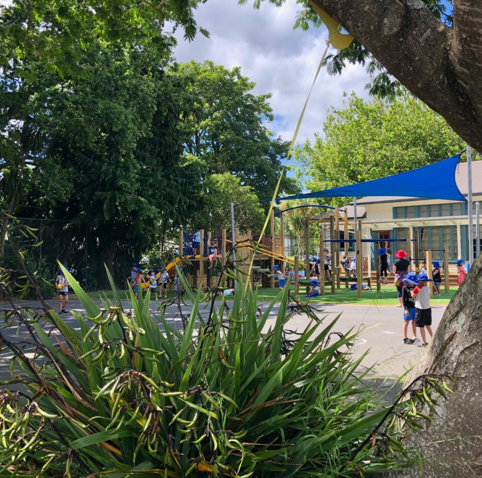 Home | Hamilton East School