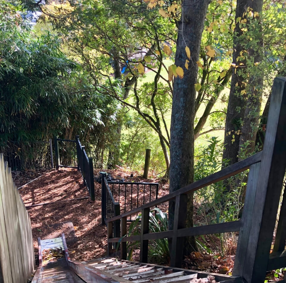 Home | Hamilton East School