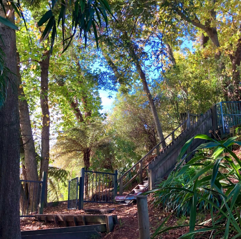 Home | Hamilton East School