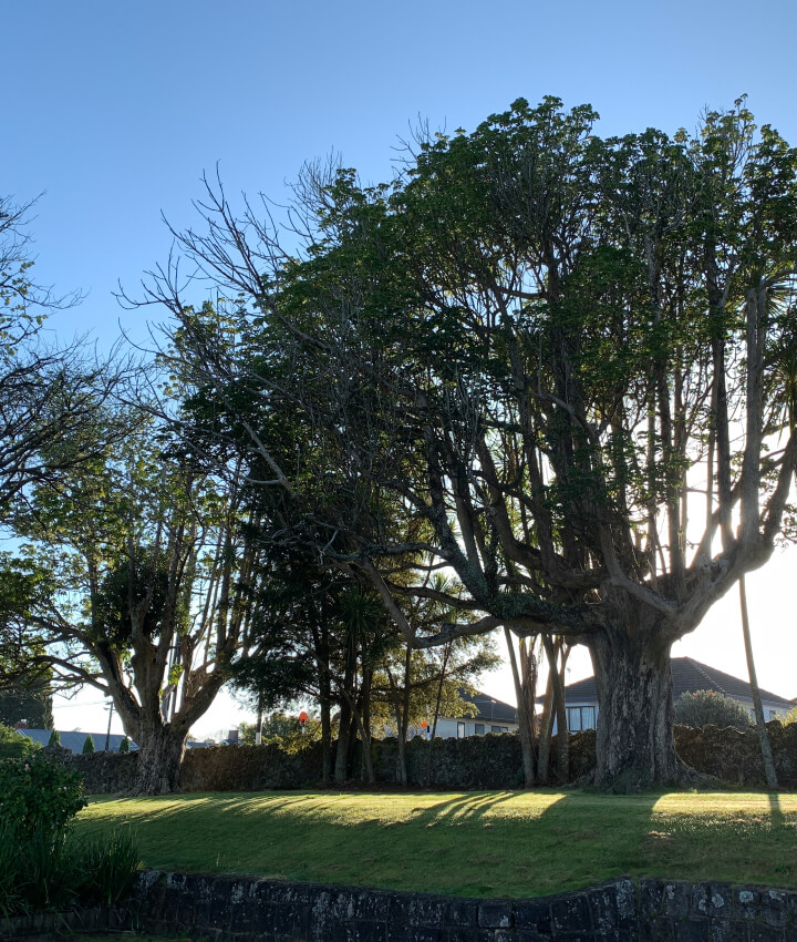 Welcome | Epsom Normal Primary School