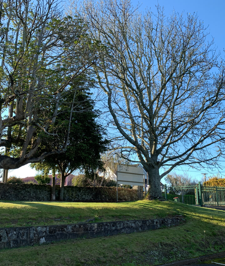 Welcome | Epsom Normal Primary School