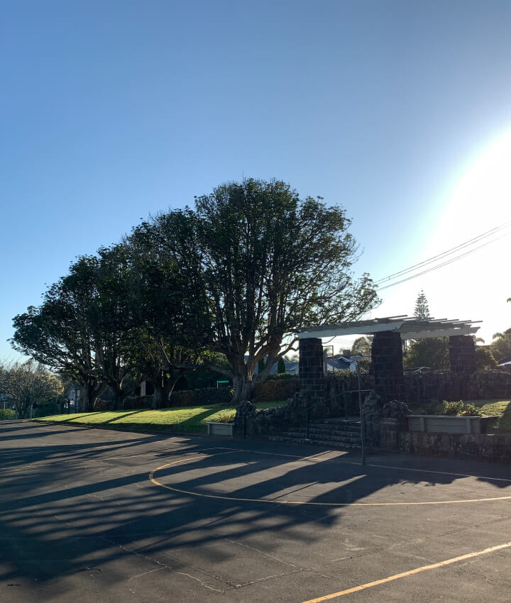 Welcome | Epsom Normal Primary School