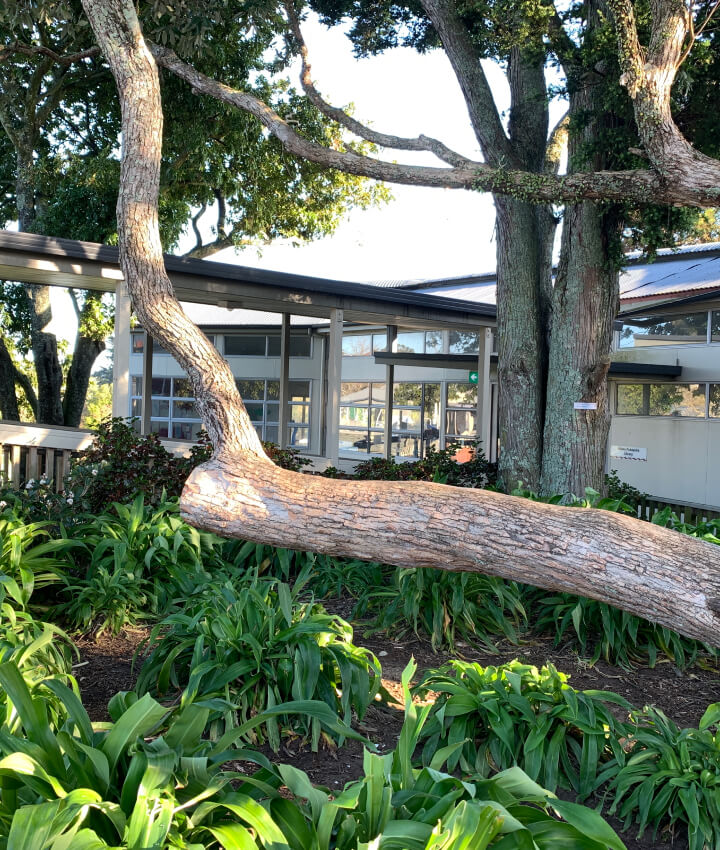 Welcome | Epsom Normal Primary School