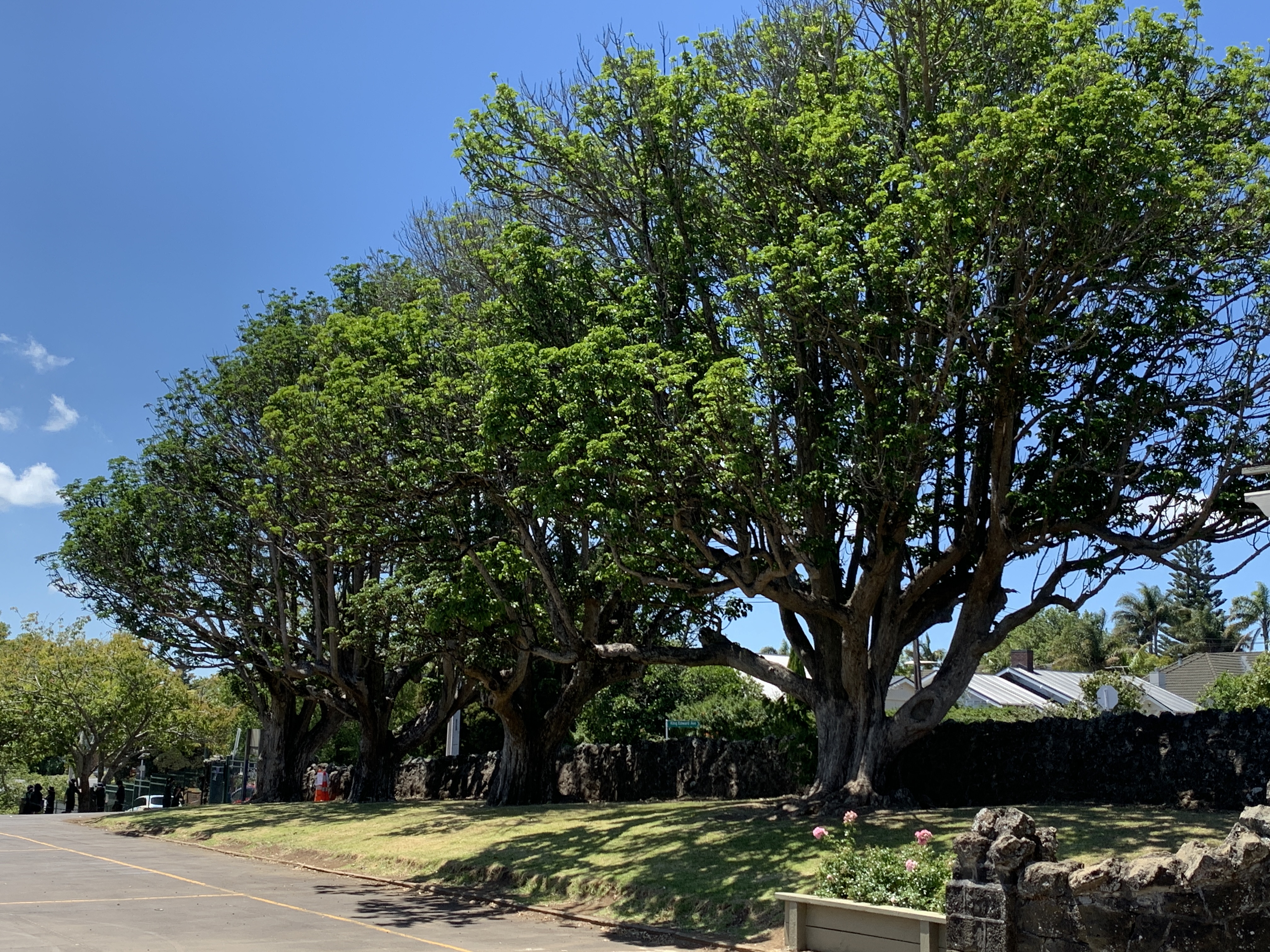 MOE - National Education and Learning Priorities (NELP) | Epsom Normal ...