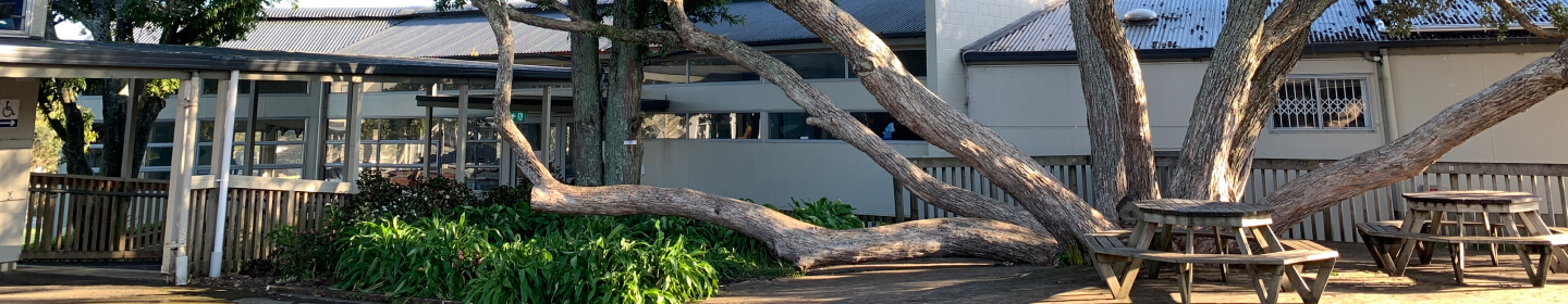 Photo Gallery | Epsom Normal Primary School