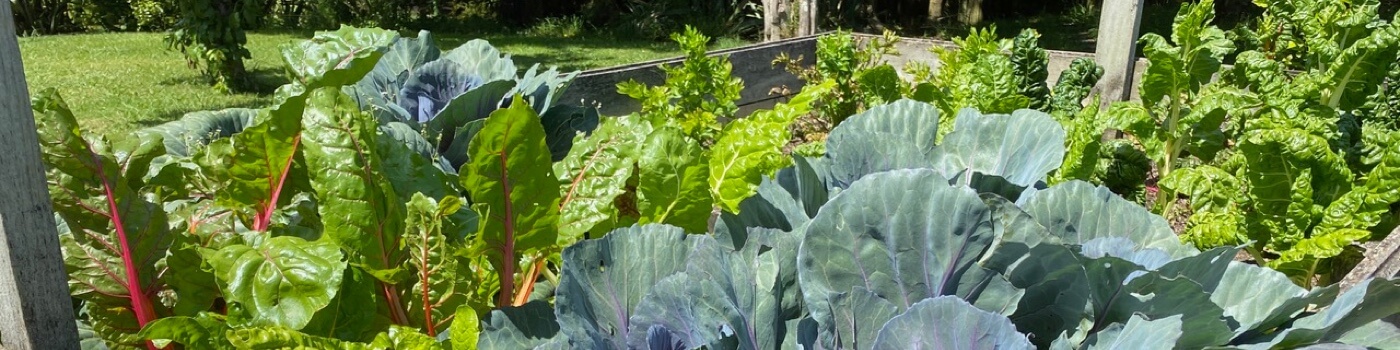 Welcome | Insoll Avenue School