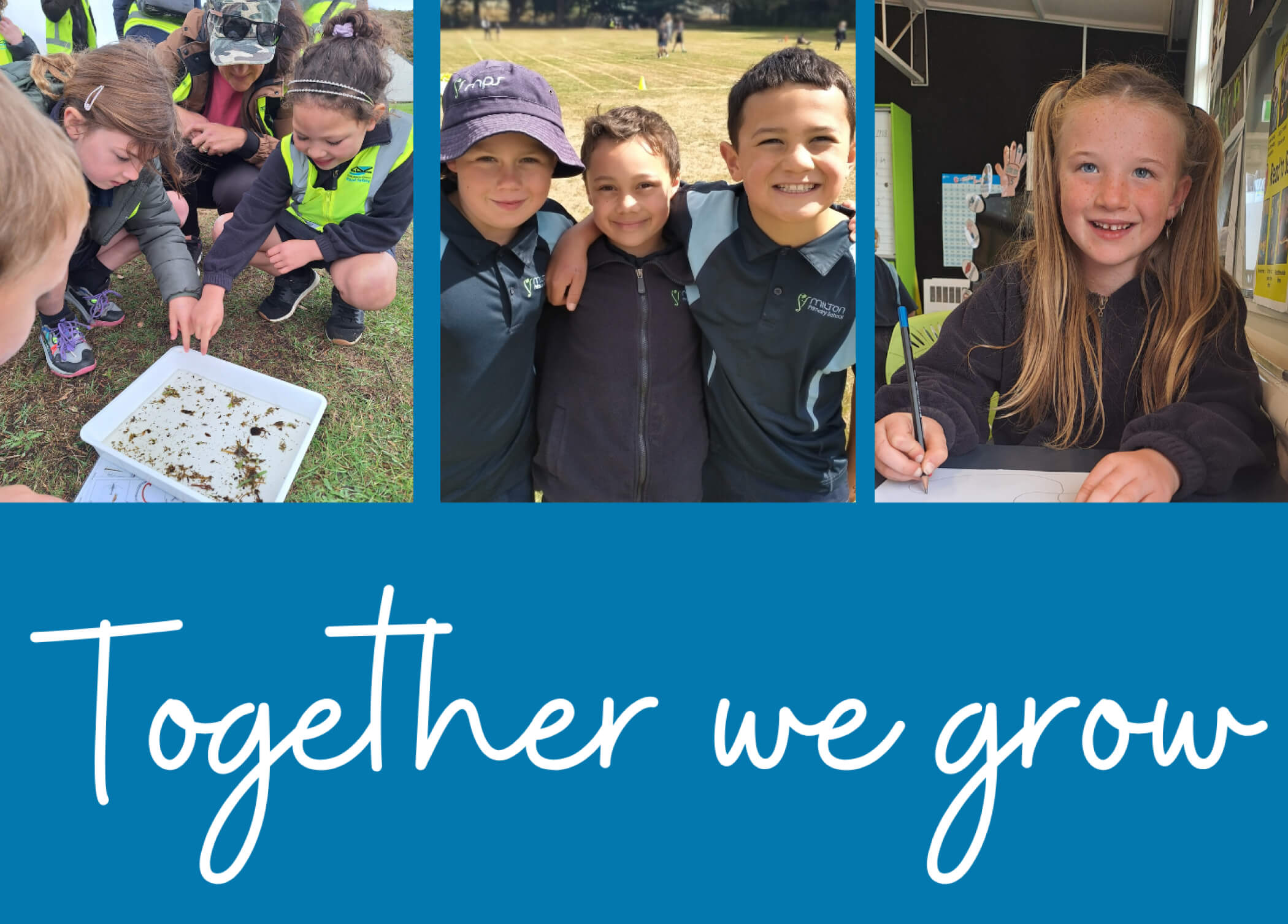 Milton Primary School | Milton Primary School